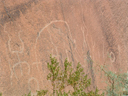 Big Bend National Park Tours